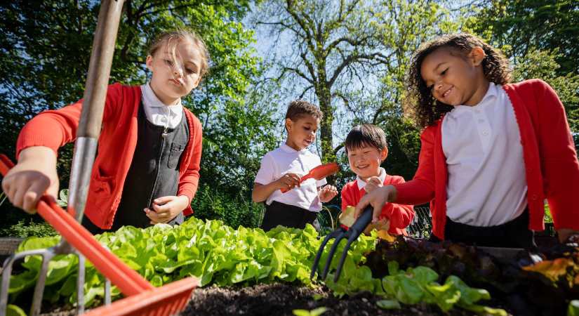 Your Fund Surrey Small Community Projects Funding – Limpsfield, Surrey