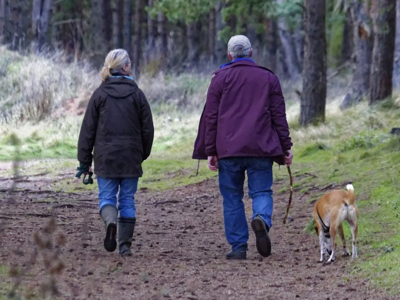 Don’t stray off the path this spring! – Limpsfield, Surrey